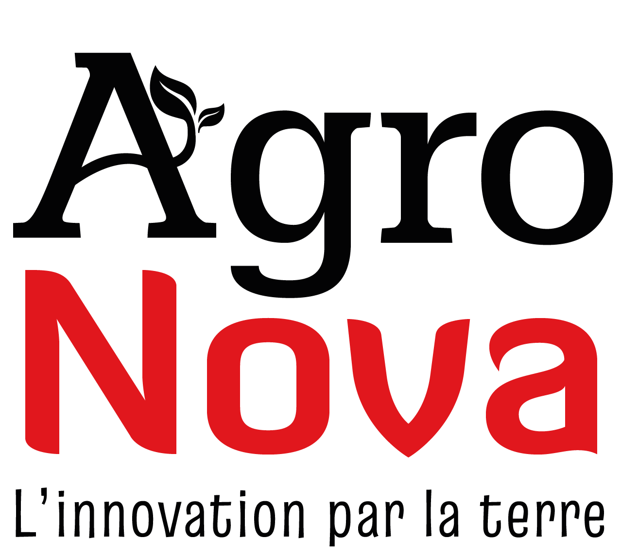 AgroNova - L'innovation par la terre · Kokeshi's